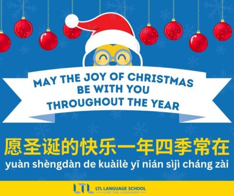 How to Say Merry Christmas in Chinese🎄PLUS Christmas in China