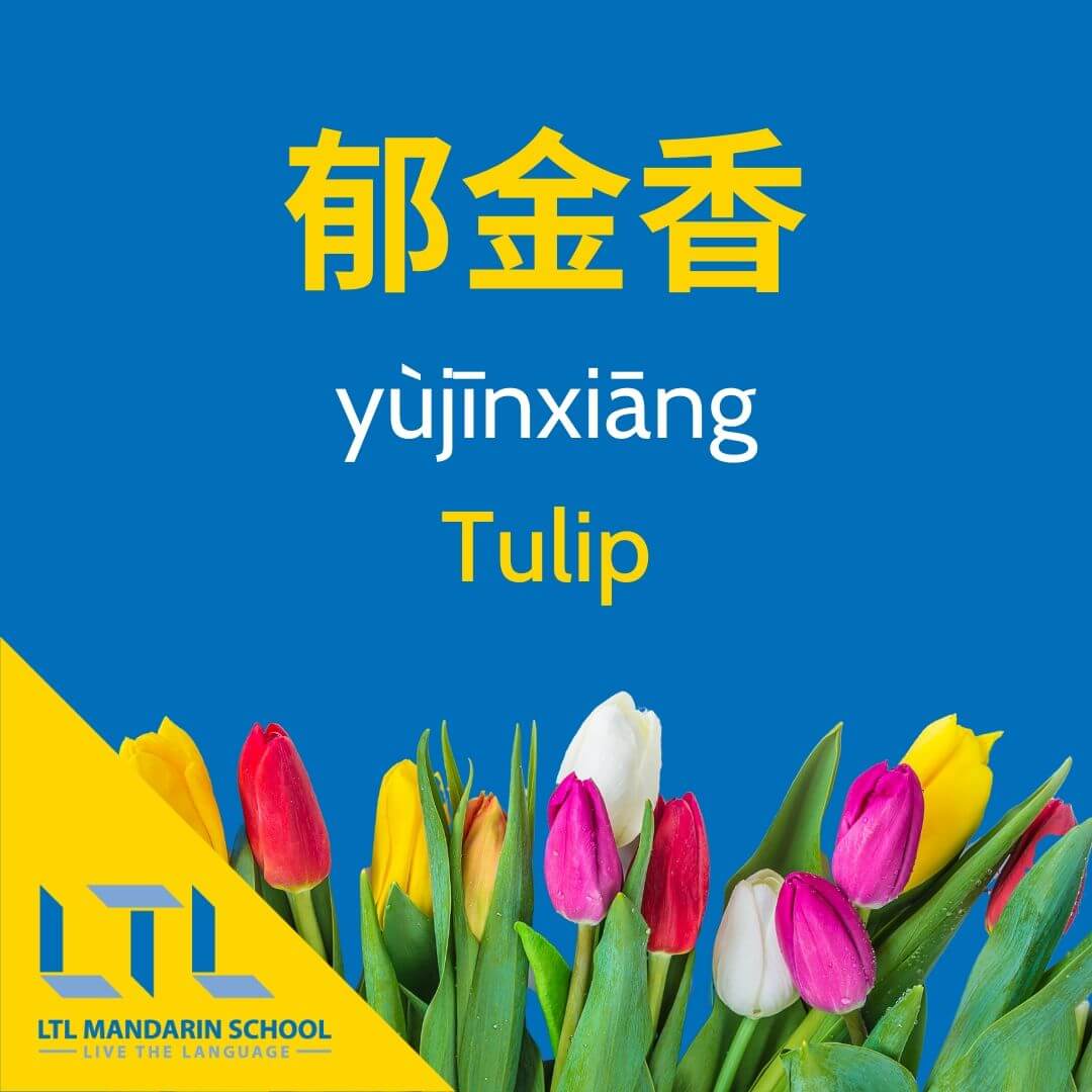 Easter in Chinese // Including FREE Downloadable Flashcards