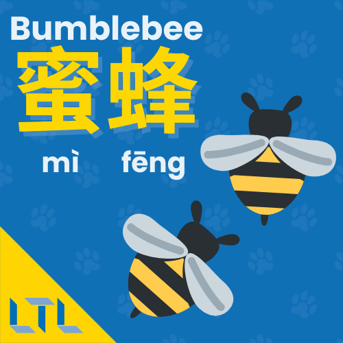 Animal Names in Chinese – Characters, Pinyin & Meanings