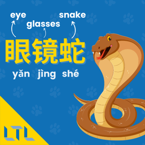 Animal Names in Chinese – Characters, Pinyin & Meanings