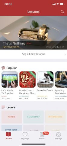 Du Chinese (Updated For 2025) | Honestly Rated and Reviewed