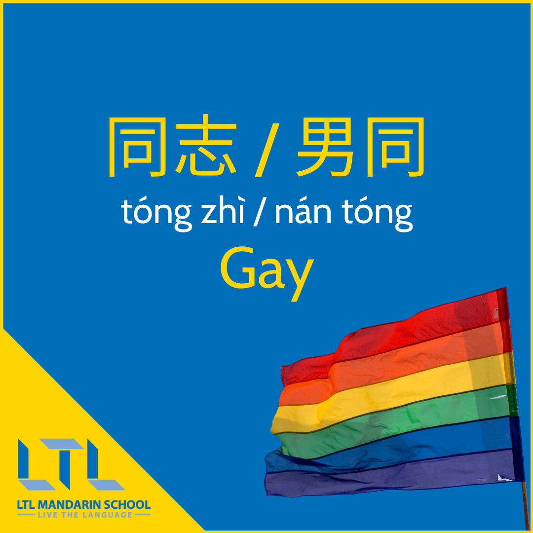 Being Gay In China || What’s It Really Like? The Truth, Revealed