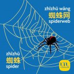 Hallowe'en in Chinese : Go To Guide 🎃 (+ A Scary Story)